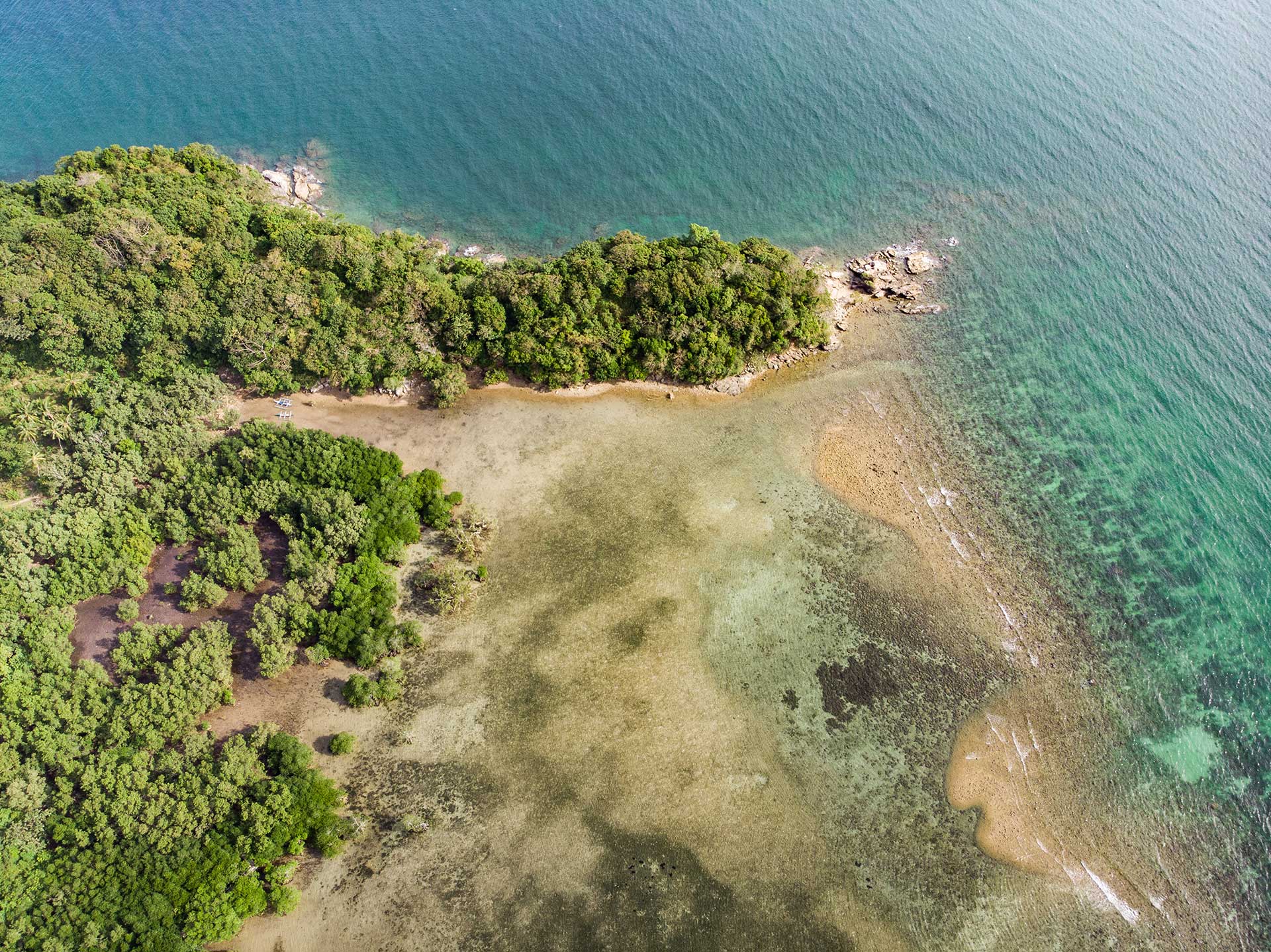 Explore our MPAs | Blue Alliance