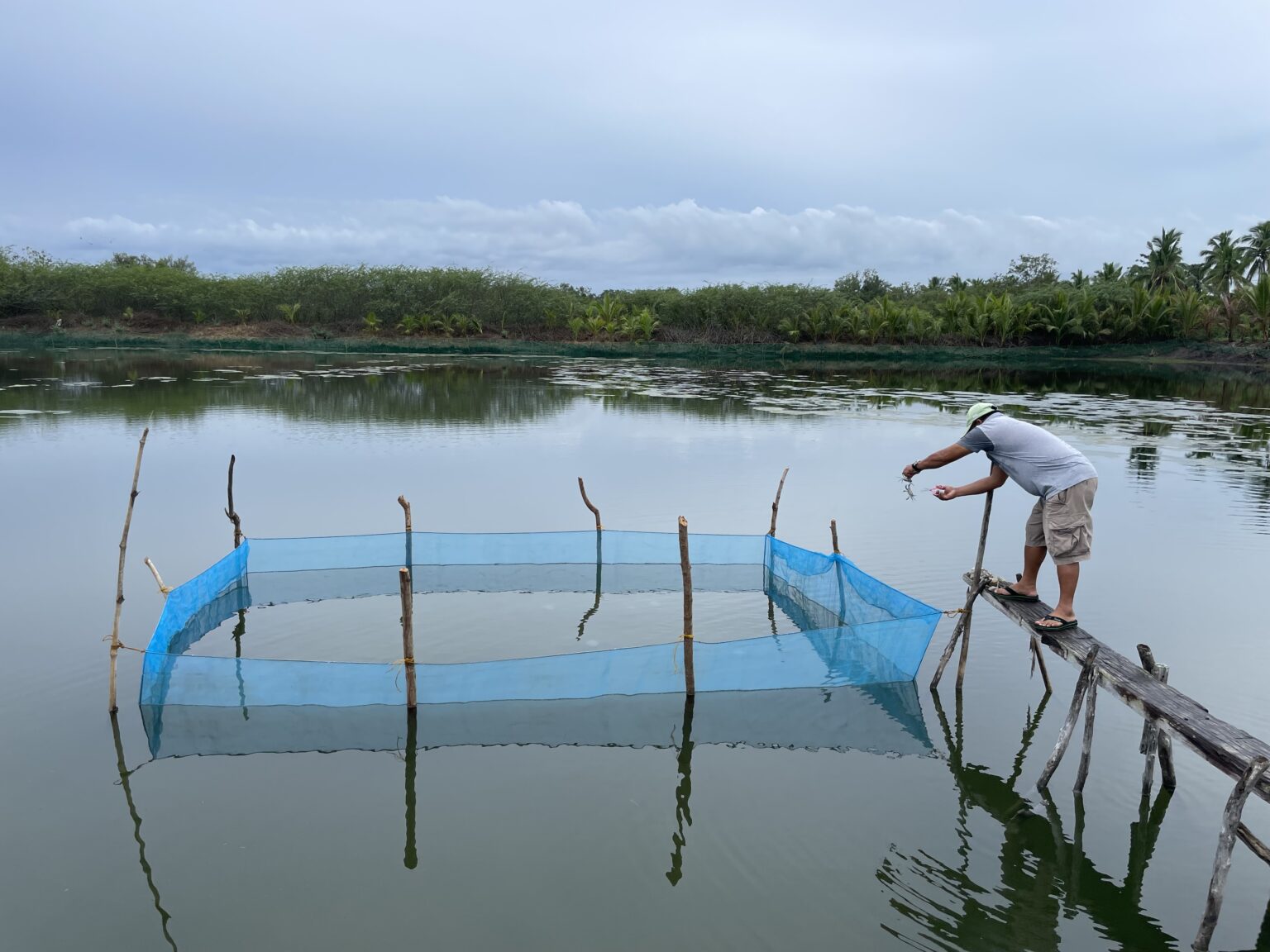 Aquahub Philippines Launches Sustainable Aquaculture Ventures to Boost ...