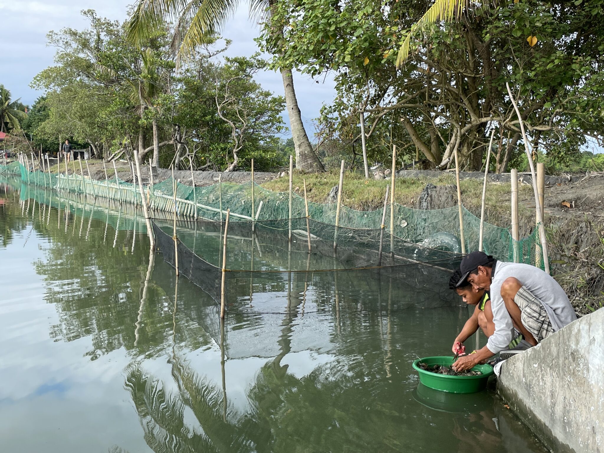 Aquahub Philippines Launches Sustainable Aquaculture Ventures to Boost ...