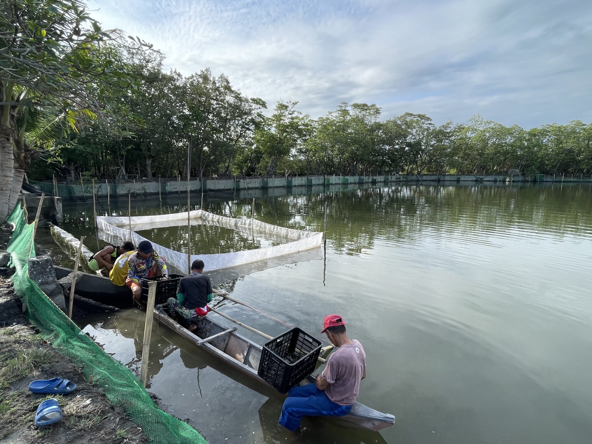 Aquahub Philippines Launches Sustainable Aquaculture Ventures to Boost ...
